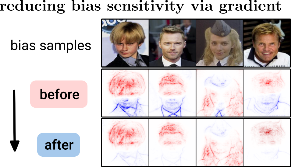 Frederik Pahde | Fraunhofer Heinrich Hertz Institute Explainable AI Group Frederik Pahde | Fraunhofer Heinrich Hertz Institute Explainable AI Group